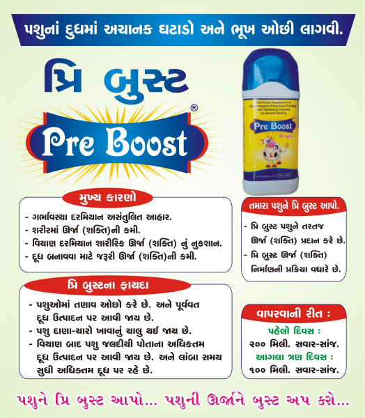 ENERGY BOOSTER PRE BOOST